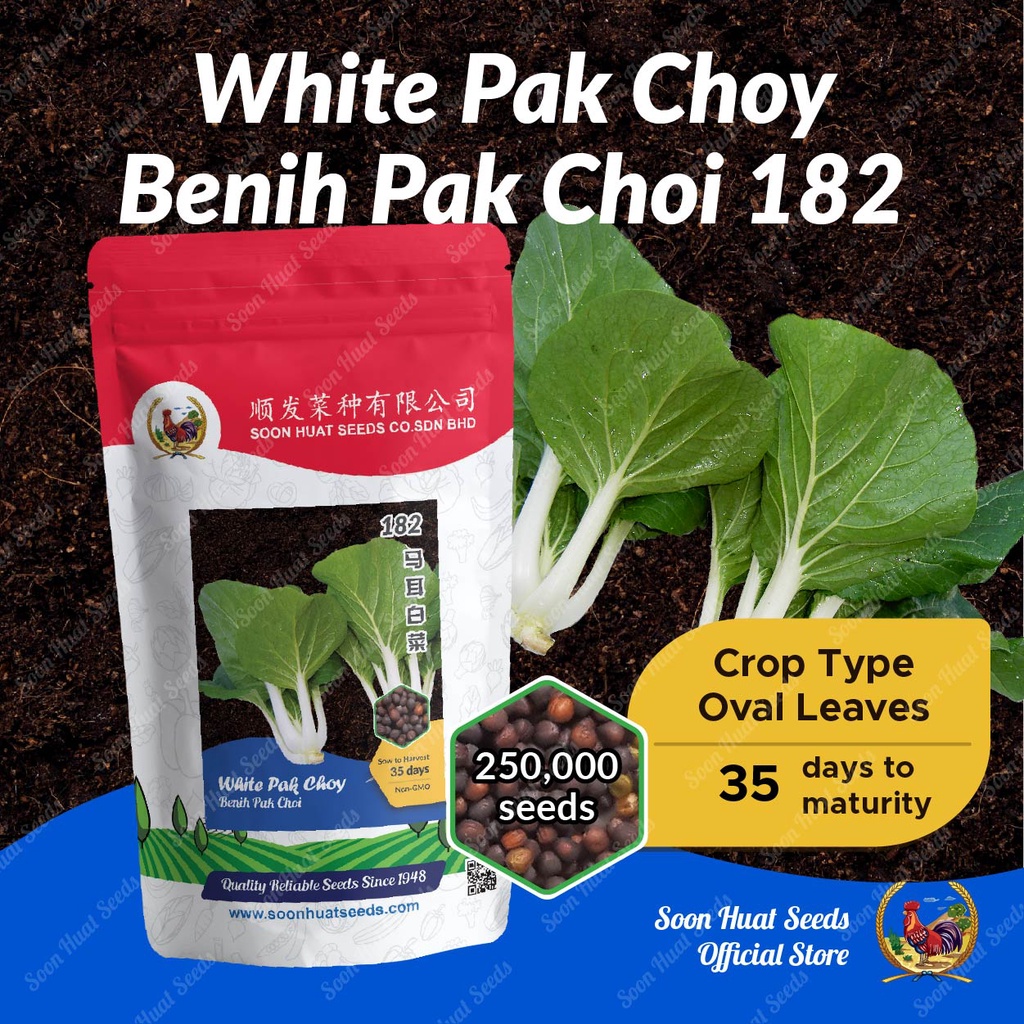 Benih Pak Choi Seeds 182 White Pak Choi [250,000seeds] 马儿白種子 Soon Huat ...