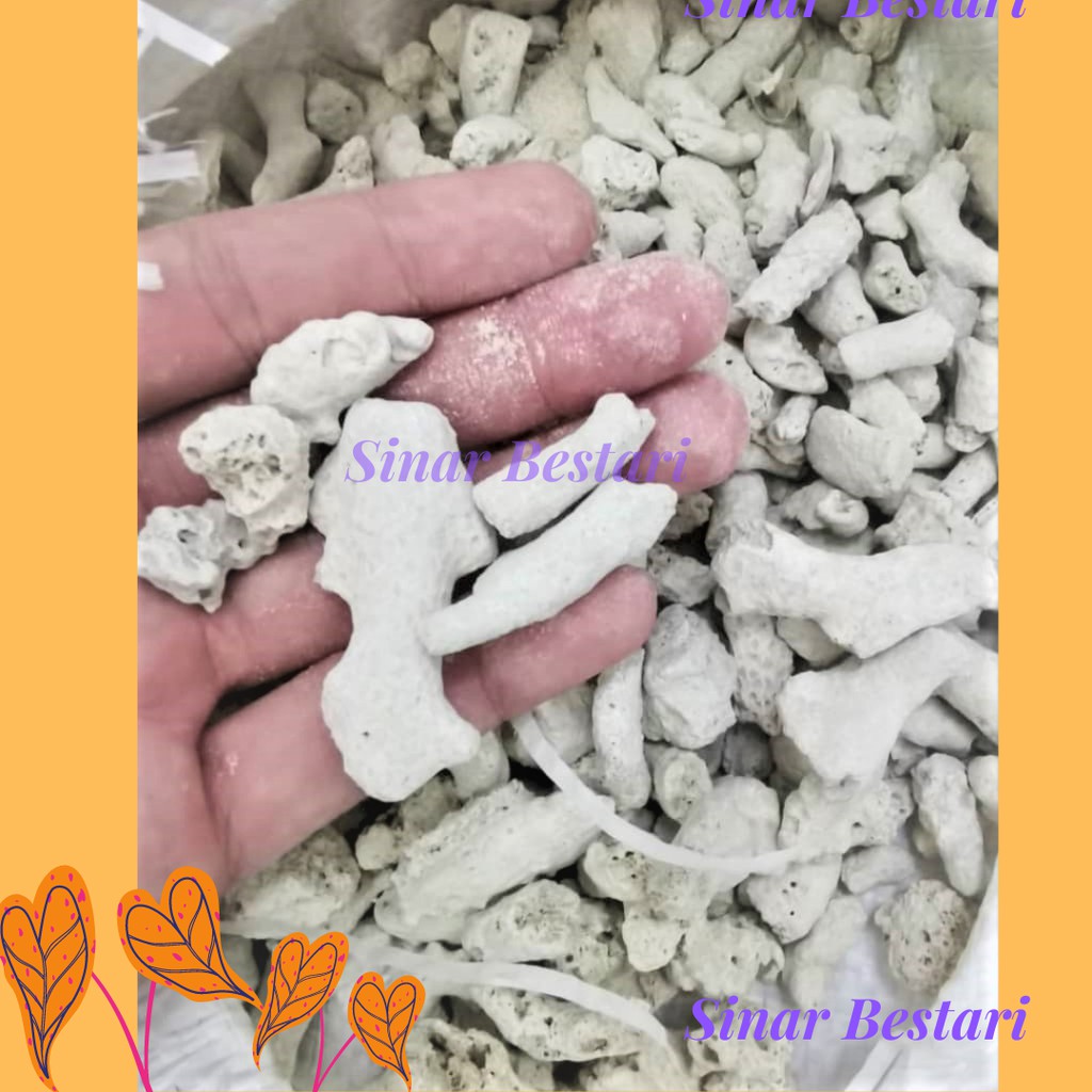 Coral Stone Aquarium Fish Tank Filter Media Nano Pillar Ikan 珊瑚石 bio ...