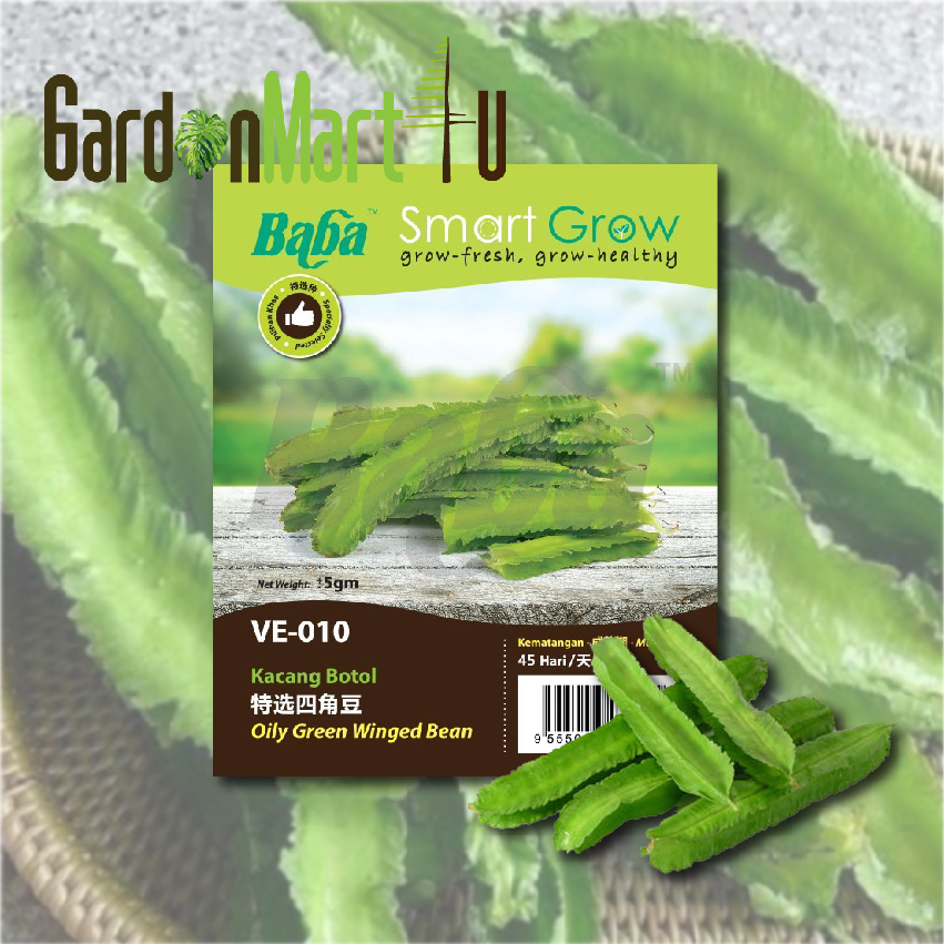 Baba Smart Grow Seeds VE-010 Oily Green Winged Bean (Kacang Botol) Vege ...