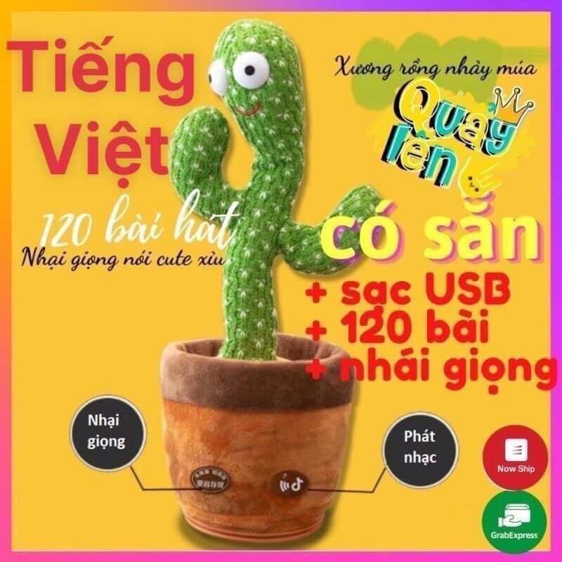 Fun dancing cactus charges USB port without electromagnetic waves ...