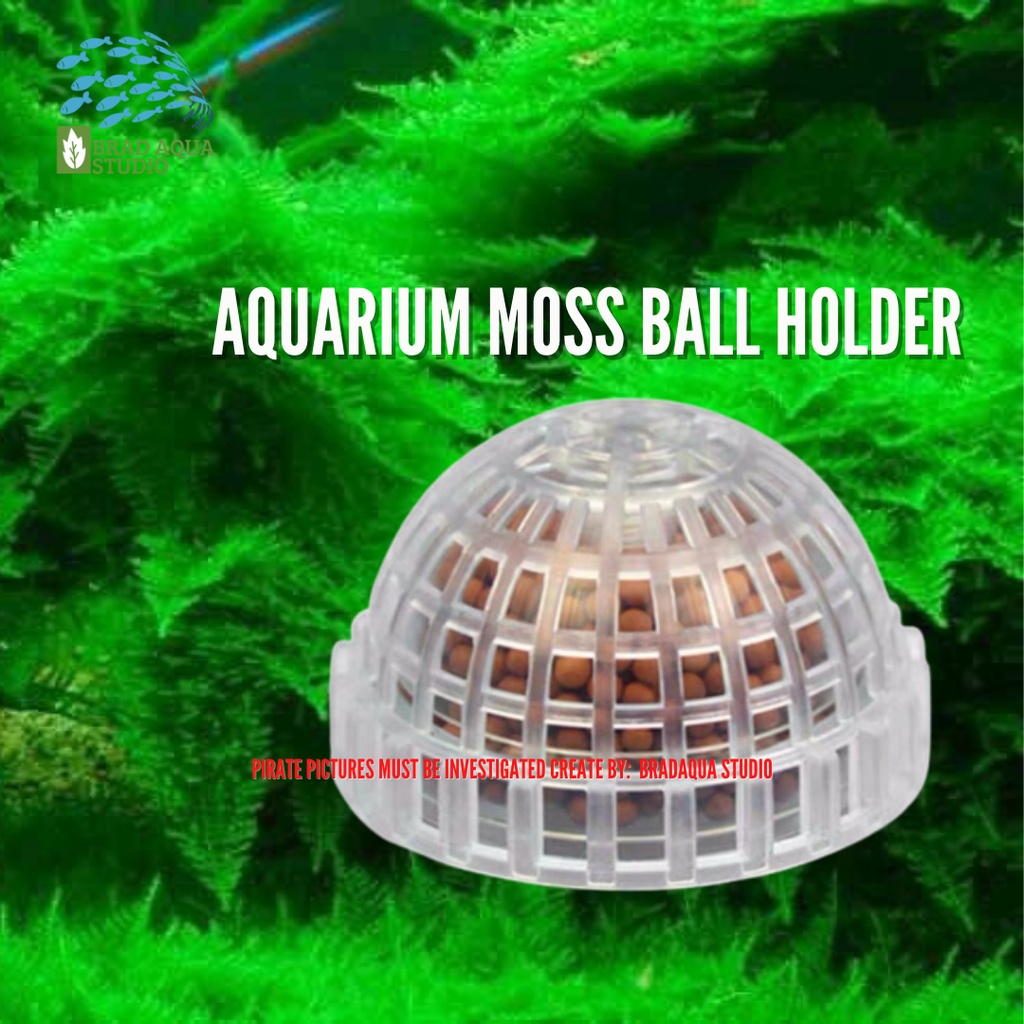 AQUARIUM Moss Ball Holder Suspension Floating Moss Ball Cultivation ...