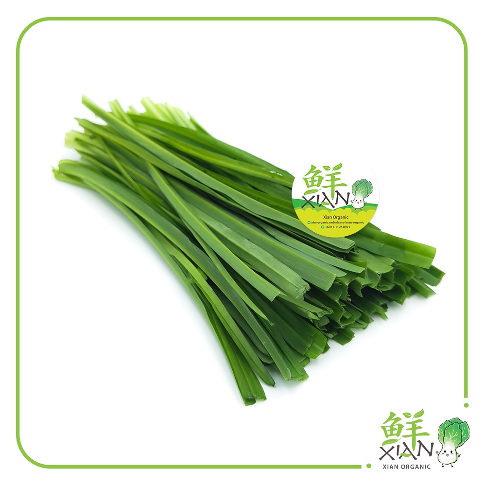 Premium Green Dragon Chives (200g) | Shopee Malaysia