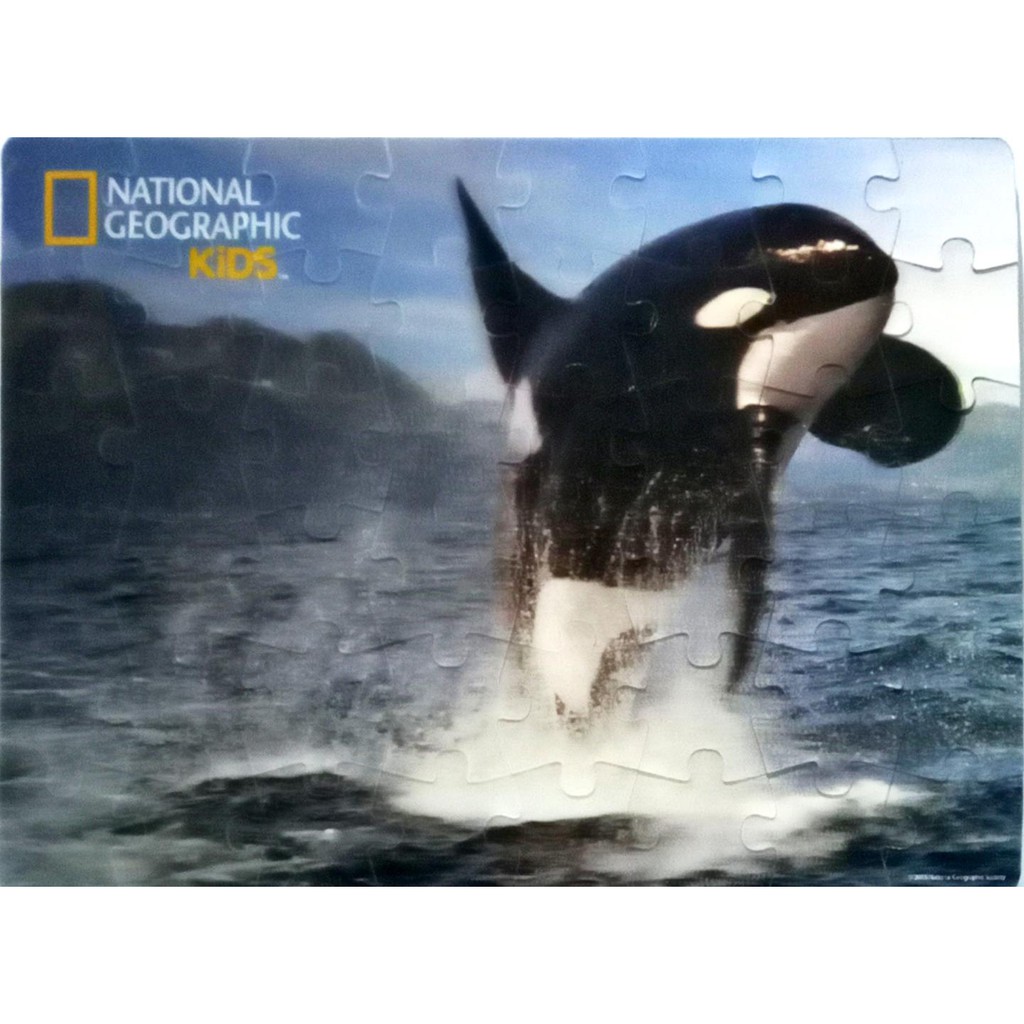 Whale: National Geographic 3D Puzzle (Completed and Mounted on a Board ...