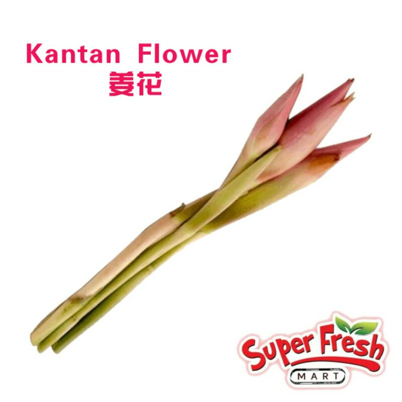 Kantan Flower 姜花 (1 pc) | Shopee Malaysia