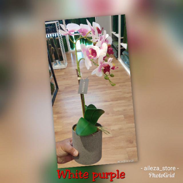 Kaison Artificial Potted Plant Purple & White Orchid Pokok Bunga Hiasan ...