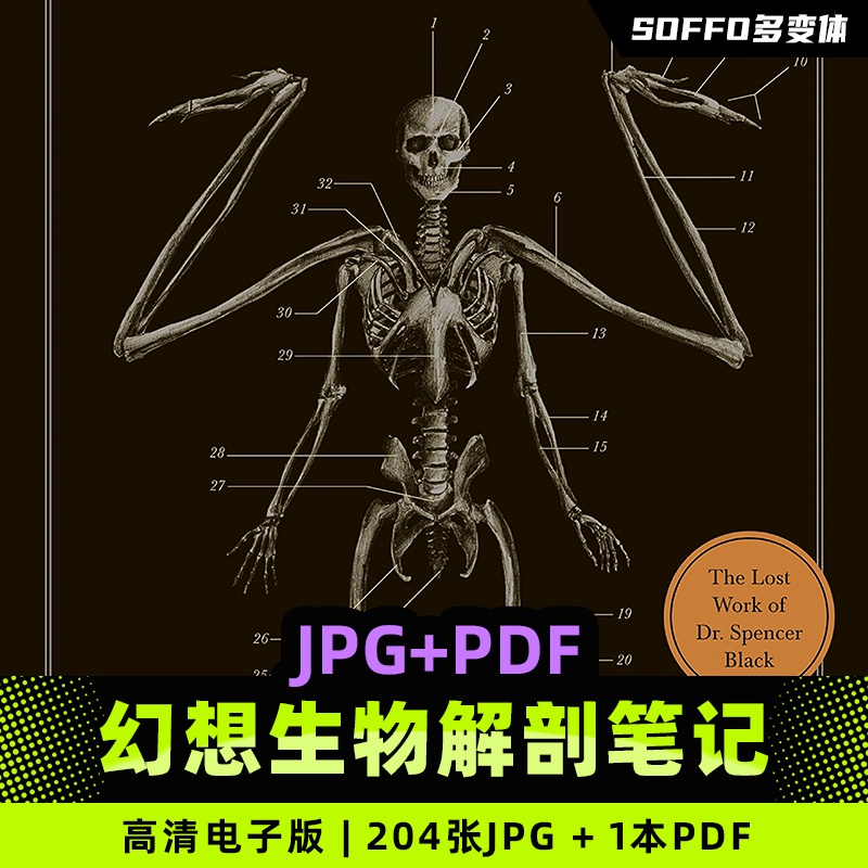 Anatomy notes of fantasy creatures biological structure skeletal muscle ...