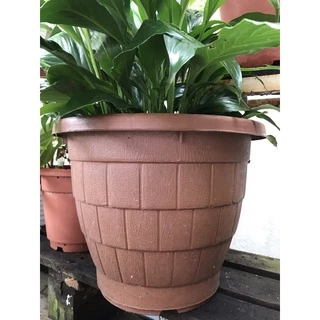 Buy pasu bunga Online With Best Price, May 2024 | Shopee Malaysia