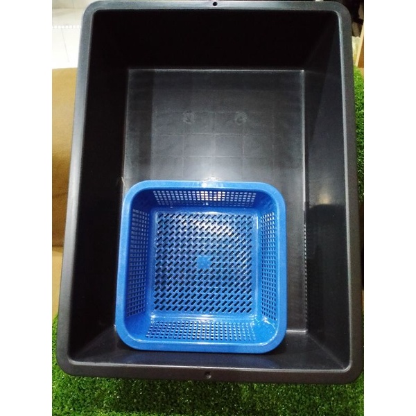 BEKAS IKAN SET BREEND IKAN LAGA/ GUPPY + BAKUL (1 SET) | Shopee Malaysia