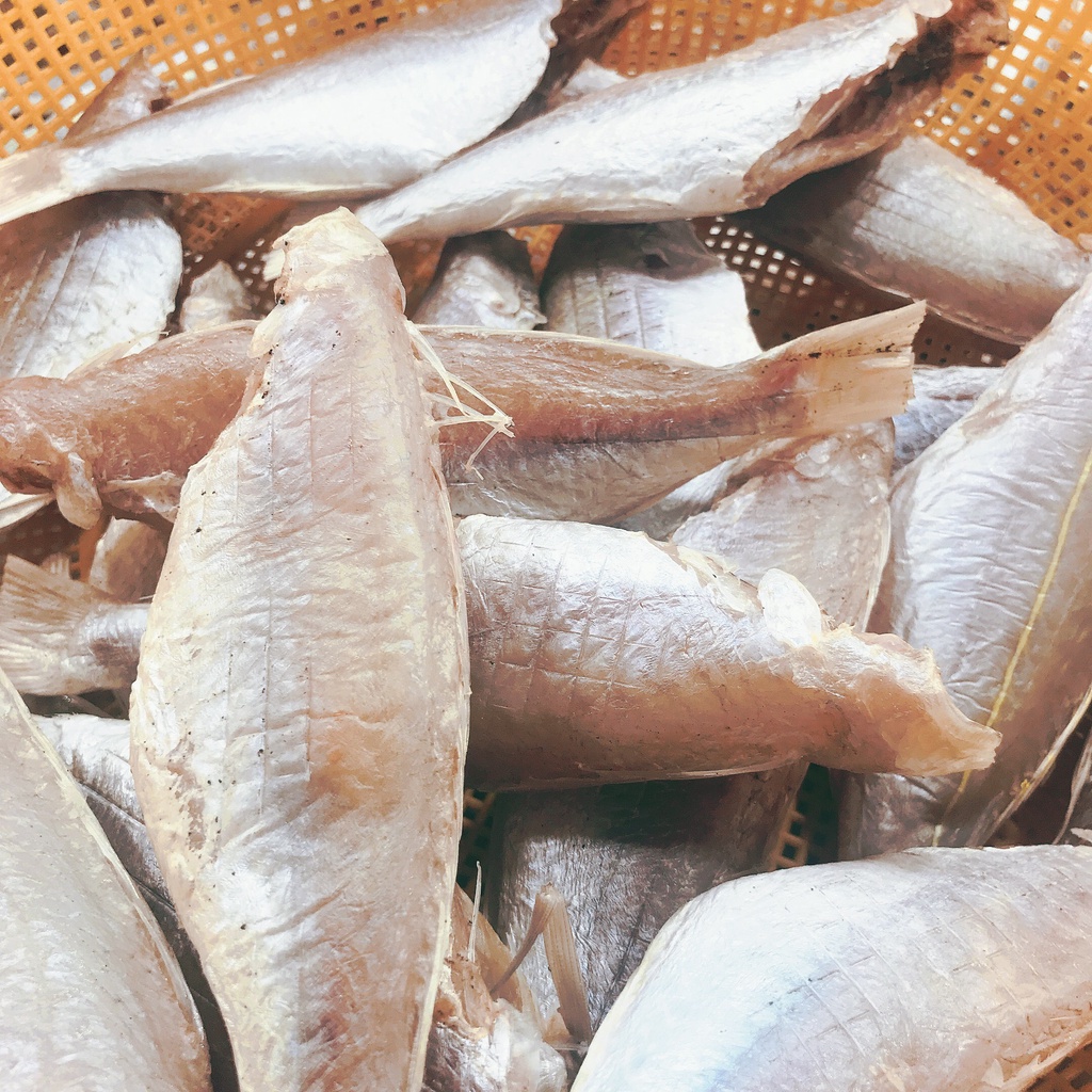500gr Dried Dong Fish. Nha Trang dried Dong fish, thick meat Dong fish ...