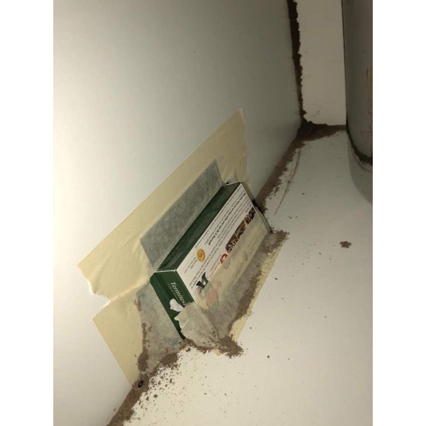 Termite Original Termites DIY Termite Baiting system (3box) - Umpan ...