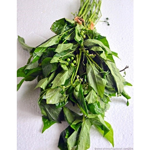 Sayur Pucuk Meranti (Black Nightshade) - 1 ikat / 500g | Shopee Malaysia