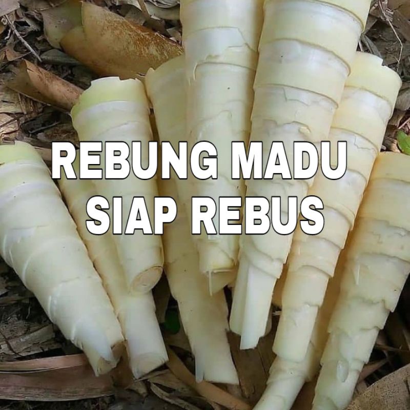 REBUNG MADU SIAP REBUS 500g | Shopee Malaysia