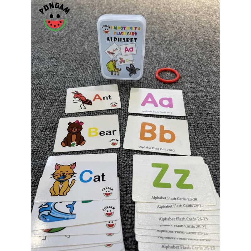 Early Learning Flash Card Kad Animal Shape Colour Body Number Alphabet ...