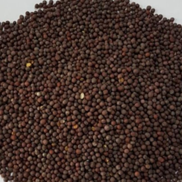 BIJI SAWI 100 G 士 | Shopee Malaysia