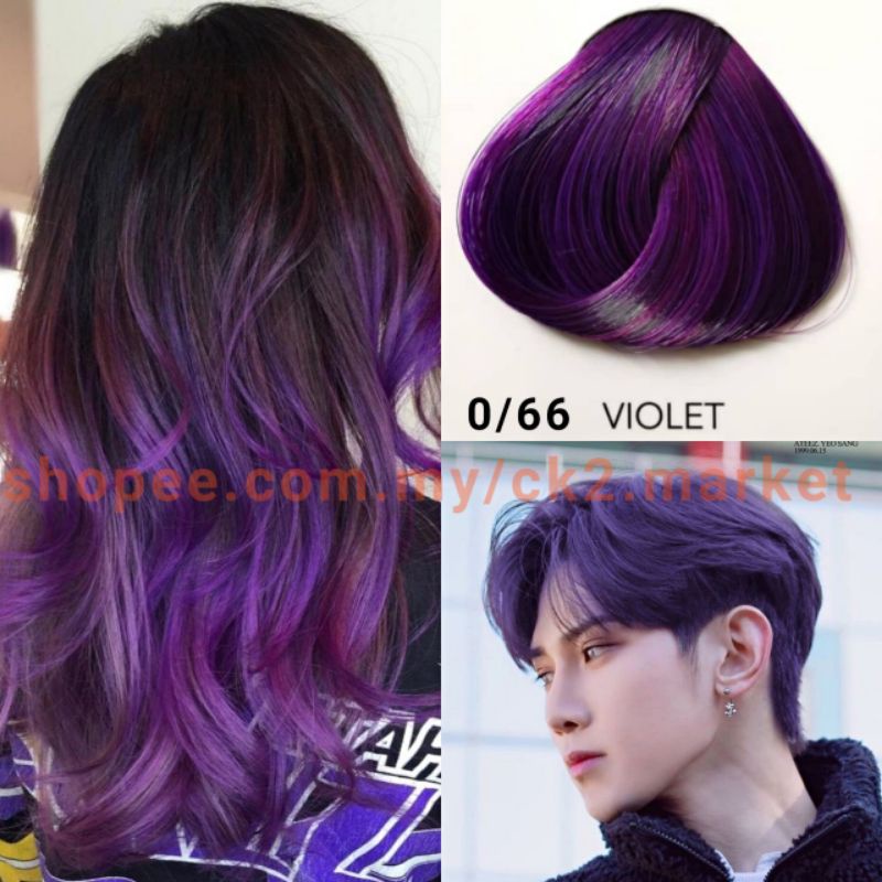🔥READY STOK🔥 0/66 VIOLET PURPLE Hair Dye Color Cream 100ML/Popular ...