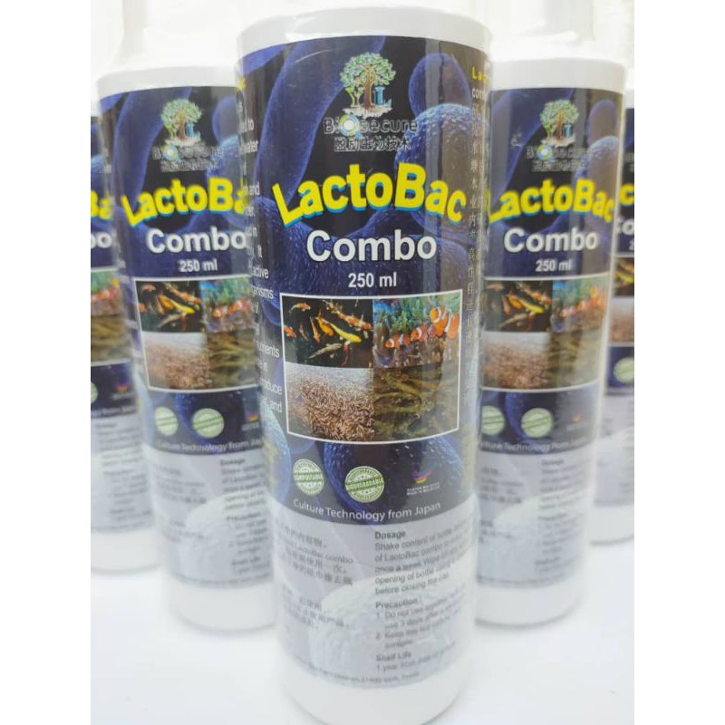 Nitrifying And Denitrifying Bacteria Aquaculture All