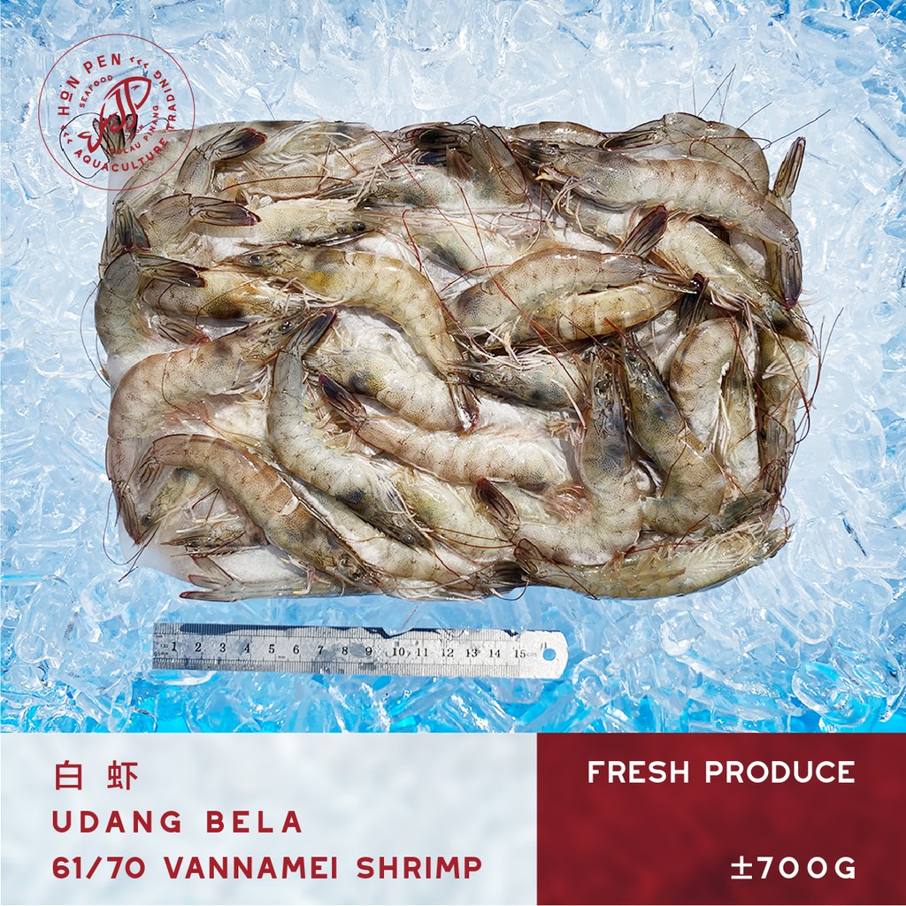 VANNAMEI SHRIMP 61/70 白 虾 UDANG BELA (Seafood) ±700g | Shopee Malaysia