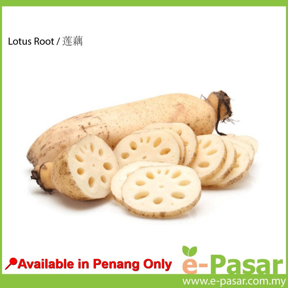 [Epasar Malaysia] [Only Penang] Lotus Root 莲藕 | Shopee Malaysia