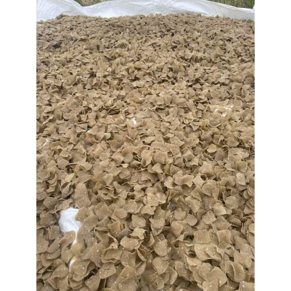 (1kg)keropok ikan tambang syiling/skeleng/bulat/panjang/lidah ayam asli ...