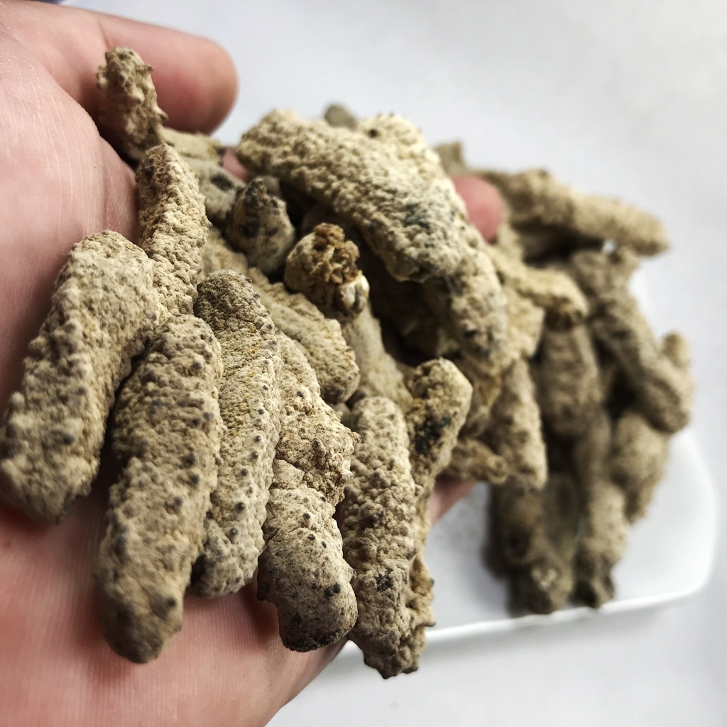 100gm30-1kg-330-pcs-indonesia-wild