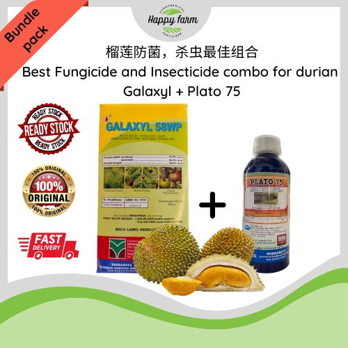 SK Galaxyl + Plato 75/ 榴莲防菌，杀虫最佳组合/ Best Fungicide and Insecticide ...