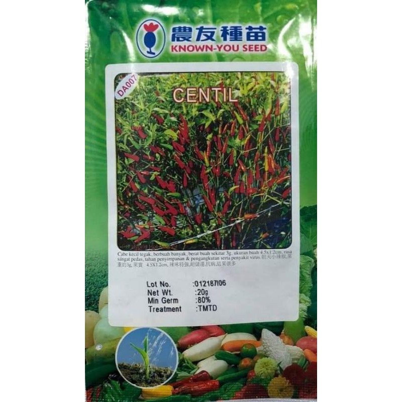 Biji Benih cili Centil F1 HYBRID Rm5 40pcs,Rm10 85pcs. centil chili f1 ...