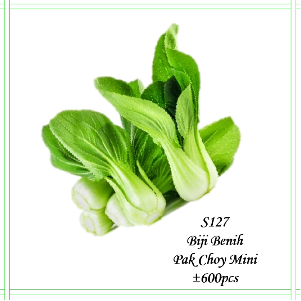 AAA Quality Seed 20 Pilihan Biji Benih Sayur Vegetable Seed biji benih ...