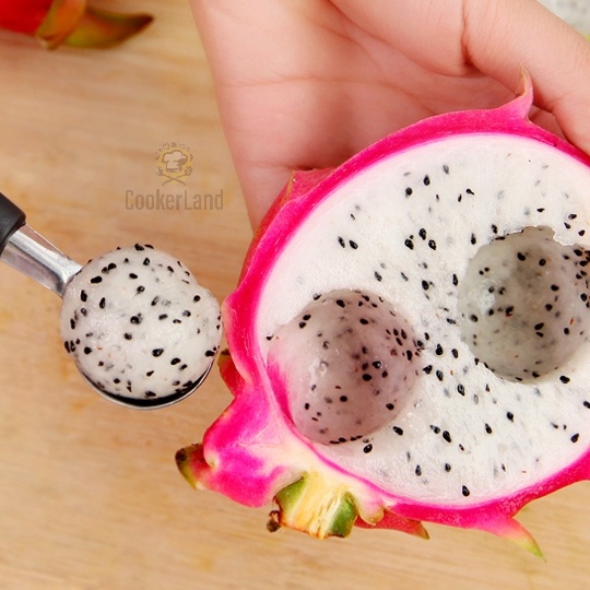 🔥Ready Stock🔥 Fruit Digging Scoop Double-Spoon Head Stainless Steel ...