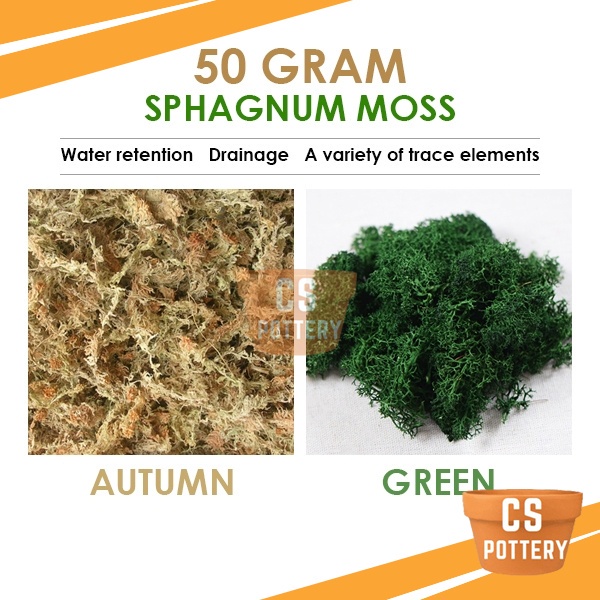 50 Gram Sphagnum Moss Orchid Plant Media Lumut Kering Dry Moss Orchid ...