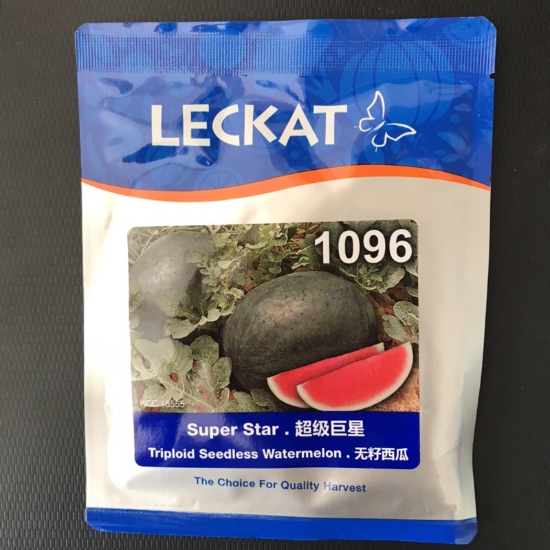 🔥🔥BIG SALES🔥🔥 [20G] F1 Hybrid Leckat 1096 Seedless Watermelon/Super star/ Tembikai Merah Tanpa ...