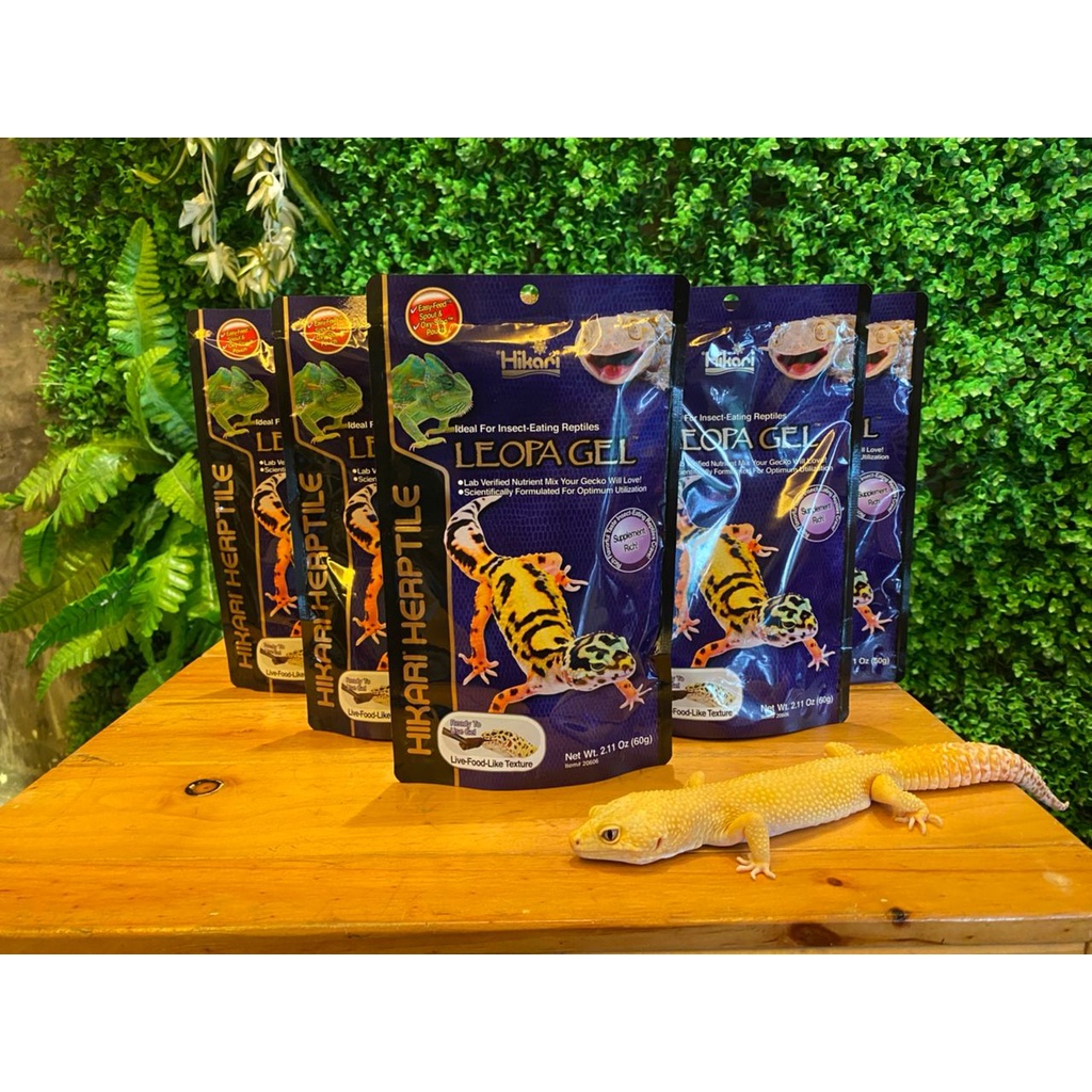 Hikari Leopa Gel (60g) (leopard gecko) | Shopee Malaysia