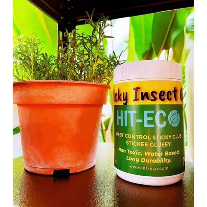 Hit Eco Sticky Insect Glue (250ml) | Shopee Malaysia