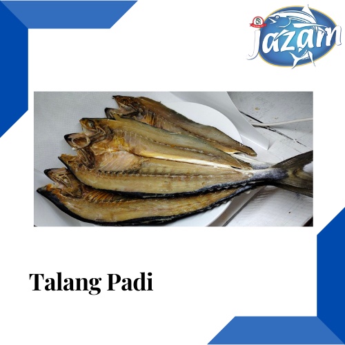 Ready Stock | Talang Padi 500g/1000g | Shopee Malaysia