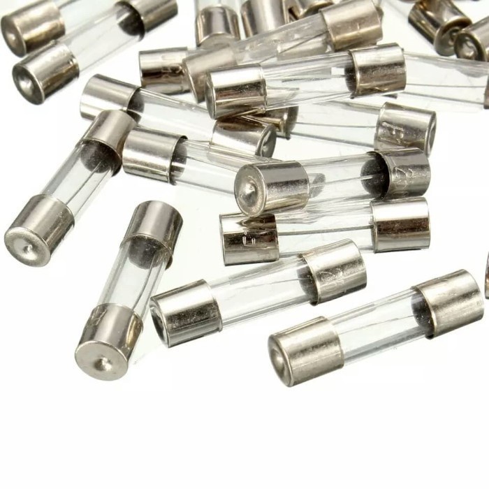 8a 220V Small Glass Fuse 5x20mm RIOOLSP27 (20PCS) | Shopee Malaysia