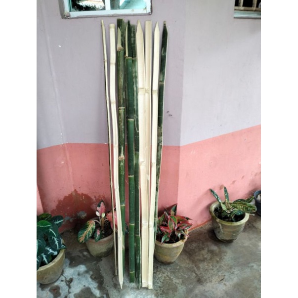 buluh pancang panjang 150cm (13batang) | Shopee Malaysia
