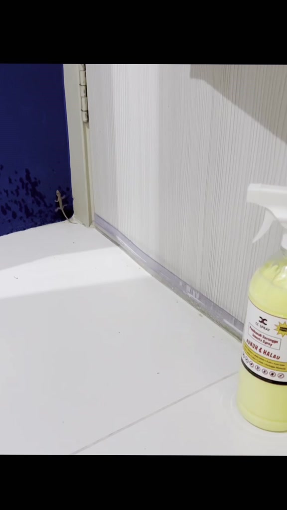 CC Lizard Repellent Lizard Killer Spray Cicak Killer Serangga Spray ...