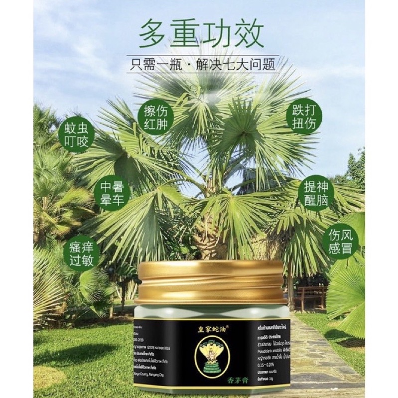 【READY STOCK】 16g Thailand Castle Snake Oil Balm Thailand snake oil ...