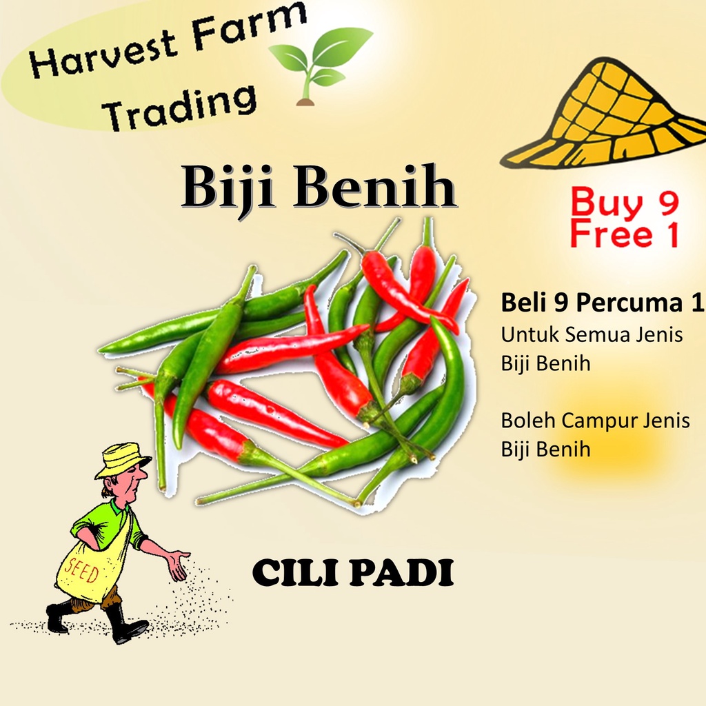 Biji Benih Cili Api 25 Biji Vegetable Seed Chili seeds 大小辣椒种子蔬菜種子 Plant ...