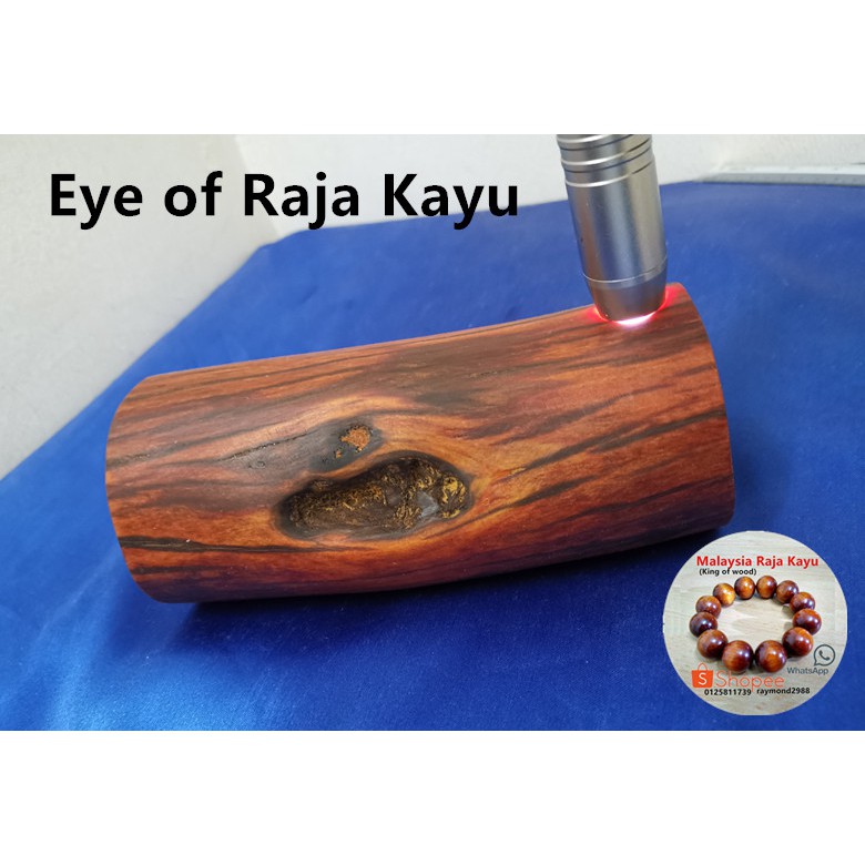 Eye Wood Asli of Raja Kayu-200mm Long (原木帝王木之眼200mm长） | Shopee Malaysia