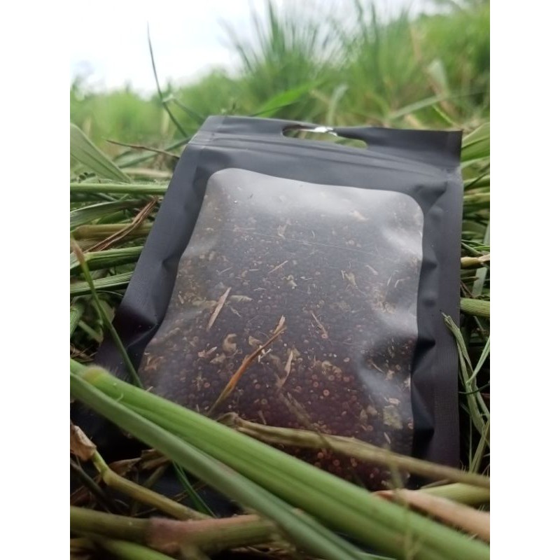 Benih maman (20 gram) | Shopee Malaysia