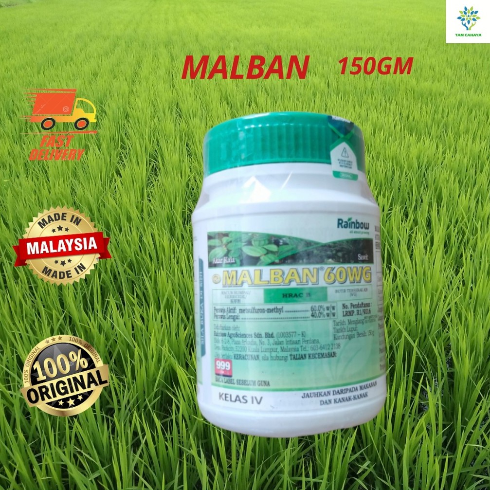 150gram MALBAN 60WG Metsulfuron 60% (Lebih Kuat dari Ally Kenlly) Racun ...