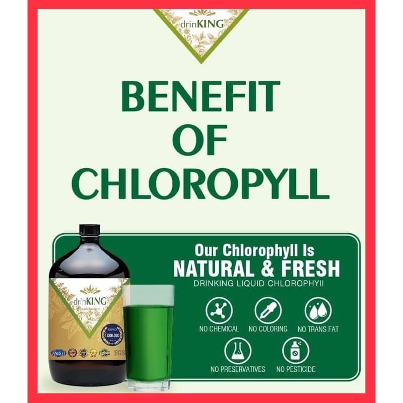 READY STOCK !! drinKING Liquid Chlorophyll 1 bottle 500ml (klorofil ...
