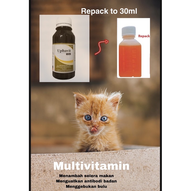 ubat tambah selera & multivitamin kucing/arnab READYSTOCK | Shopee Malaysia