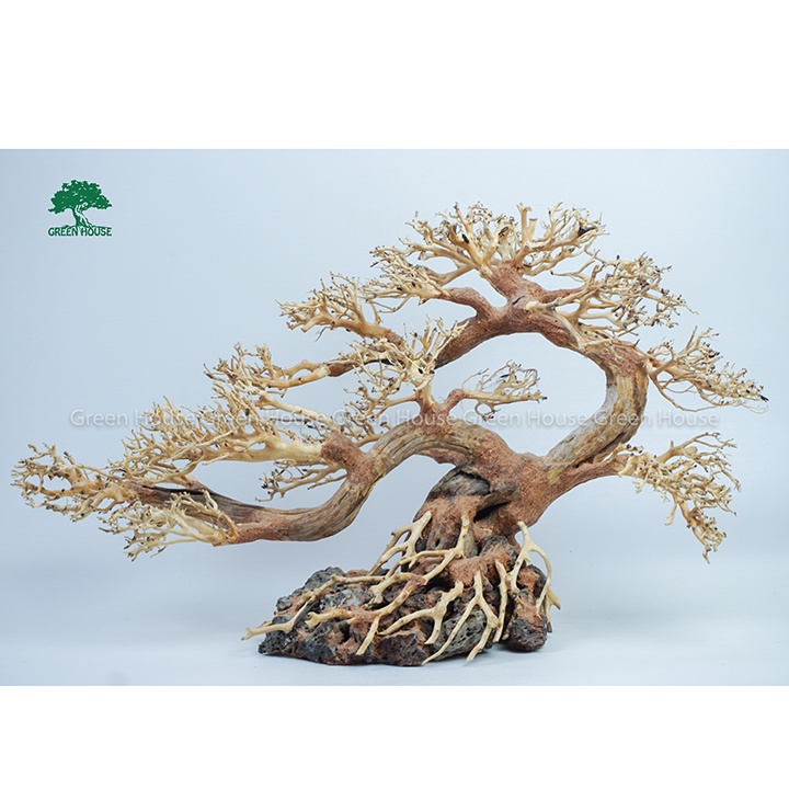 Stone Bonsai Driftwood - Aquatic Driftwood Used To Decorate Aquariums ... Stone Bonsai Driftwood - Aquatic Driftwood Used To Decorate Aquariums ...