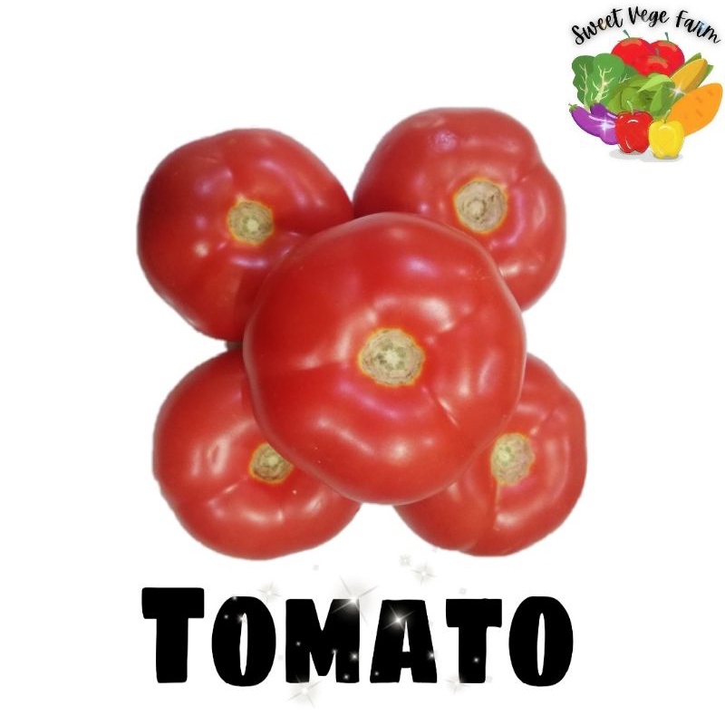 Cameron Tomato/ Tomato Cameron/ 金马伦番茄 [500g] | Shopee Malaysia