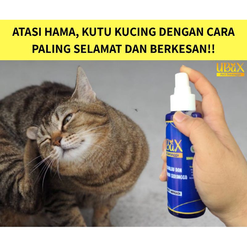 Ubax Spray Kucing Kutu Kurap Luka Hama Pets Spray Fungus | Shopee Malaysia