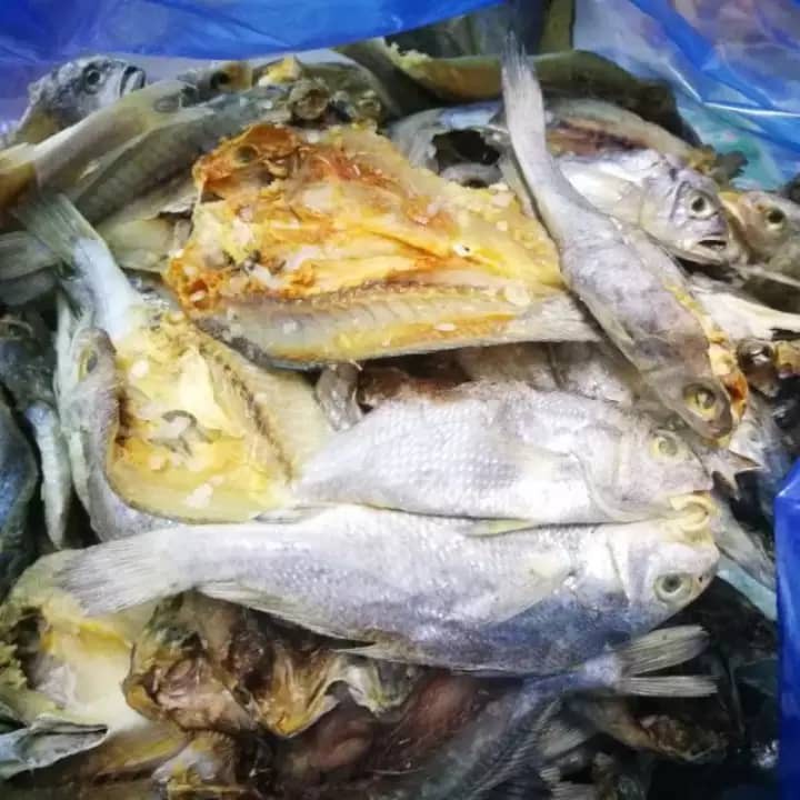 Ikan Gelama Masin Belah | Shopee Malaysia