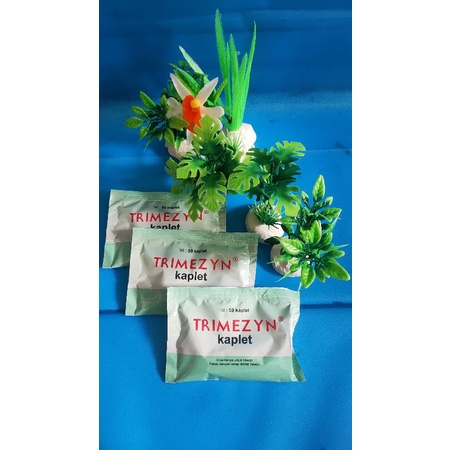 Trimezyn 50 caplets-cold medicine snoring pulorum chicken pneumonia ...
