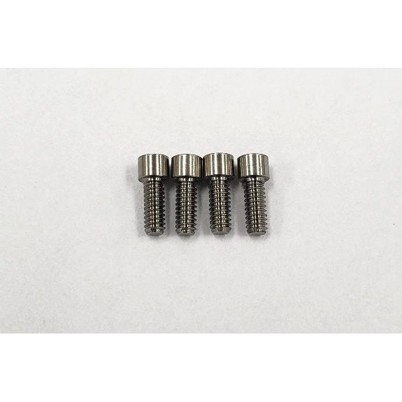 ReveD RT-004 SPM titanium M2 x 5mm cap screw (4 pieces) | Shopee Malaysia