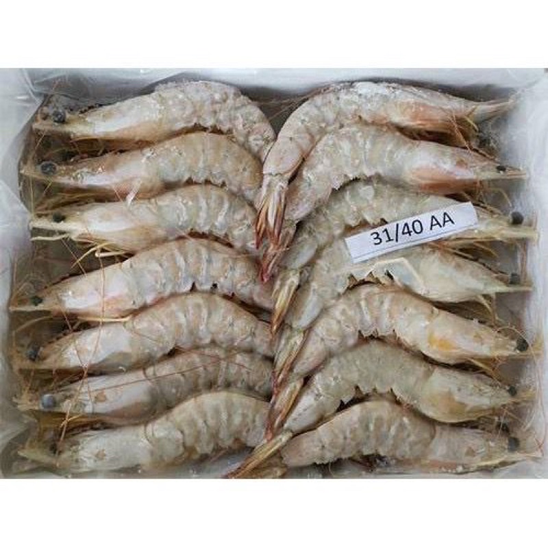 White Prawn/Ming Prawn size M 1kg/明虾 1kg | Shopee Malaysia